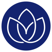 Exceptional Belly Dance Classes in Lewisham, London.